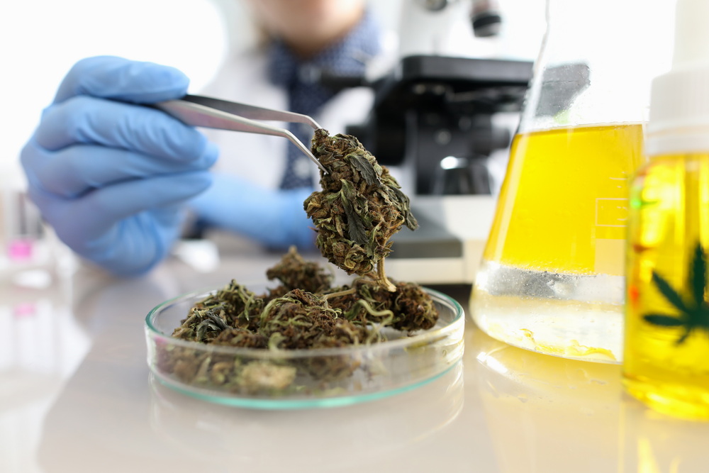 Cannabinoid Cancer Study Gets Major Endorsement in the UK - Nutur ...
